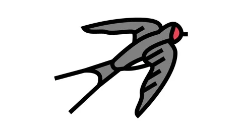 Swallow Animation Stock Footage ~ Royalty Free Stock Videos | Pond5