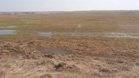 Sunny Spring Day Stock Videos – Royalty-Free HD & 4K Videos | Pond5