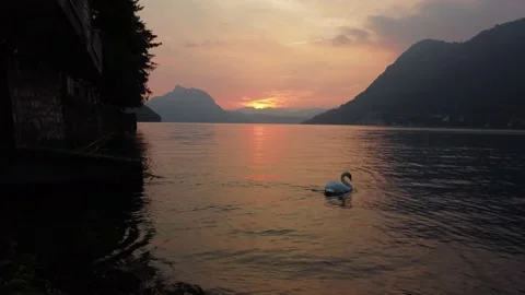 Floating Border Stock Videos – Royalty-Free HD & 4K Videos