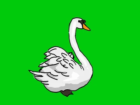 Drawings Drawings Animated Duck Stock Footage ~ Royalty Free Stock ...