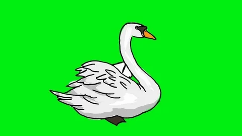 Drawings Drawings Animated Duck Stock Footage ~ Royalty Free Stock ...