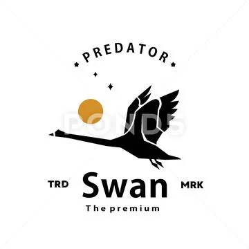 Swan logo vector outline silhouette Illustration #288214316