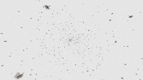 A swarm of insects flies out of the dept... | Stock Video | Pond5