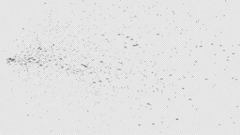 A swarm of insects flies out from the si... | Stock Video | Pond5