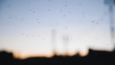 Sunset Swirl Stock Videos – Royalty-Free HD & 4K Videos | Page 5