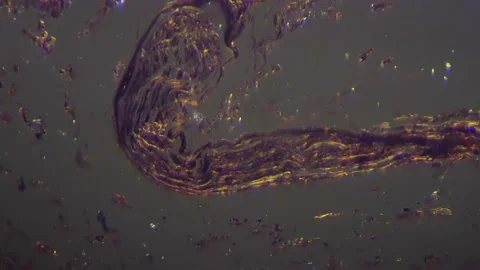 Sweat glands on human skin filmed under ... | Stock Video | Pond5