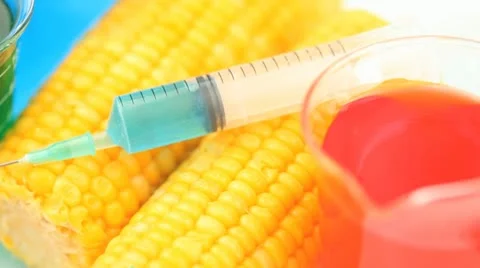 Sweet Idna Stock Video Footage | Royalty Free Sweet Idna Videos | Pond5