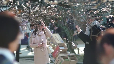 A sweet couple standing behind the sakur... | Stock Video | Pond5