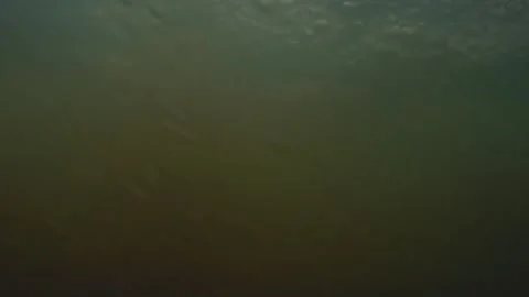 Swimmer Diving and Floating on Surface o... | Stock Video | Pond5