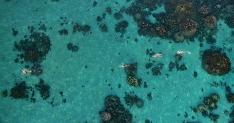 swimmer in a lagoon , french polynesia | Stock Video | Pond5