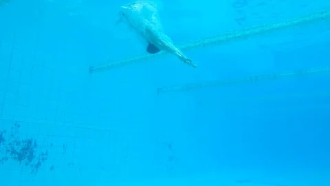 Swimmer Man Diving in Swimming Pool. HD ... | Stock Video | Pond5