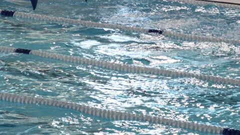 Swimmers swimming in a race competing in... | Stock Video | Pond5