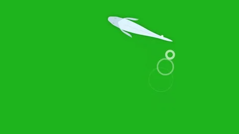 Swimming fish motion graphics with green... | Stock Video | Pond5