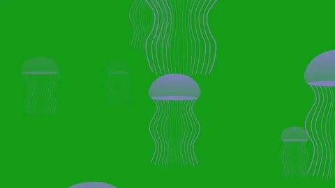 Swimming jellyfish with green screen bac... | Stock Video | Pond5