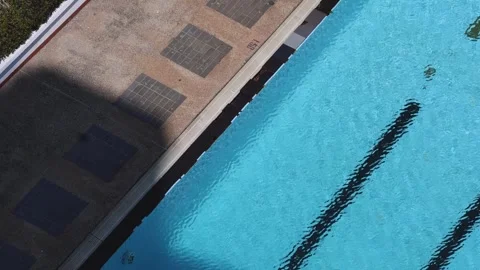 Shadow Edge Swimming Stock Videos – Royalty-Free HD & 4K Videos