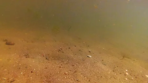 Underwater Lake Bottom Stock Video Footage | Royalty Free Underwater ...