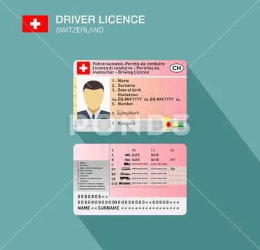 Swiss car driver license identification. Vector illustration ...