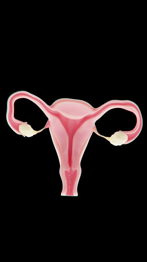 Ovry Video Stock Footage ~ Royalty Free Stock Videos | Pond5