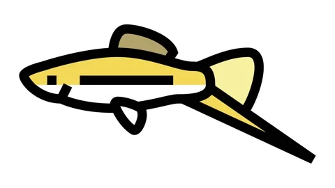 swordtail fish color icon animation | Stock Video | Pond5