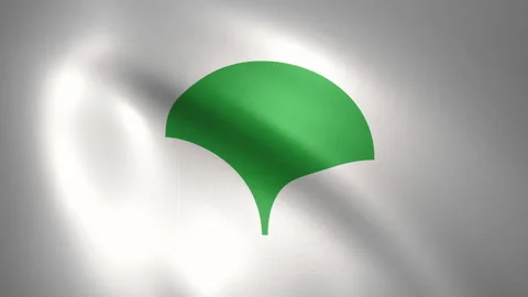The Symbol Flag of Tokyo Metropolis Wavi... | Stock Video | Pond5