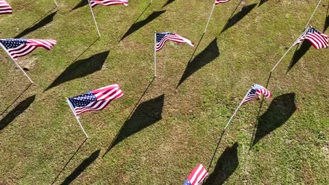 Symbol of freedom in America with flags ... | Stock Video | Pond5