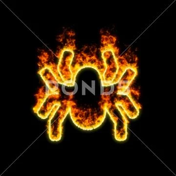 The symbol spider burns in red fire: Graphic #106814673