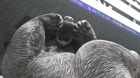 China Bear Stock Video Footage | Royalty Free China Bear Videos | Pond5