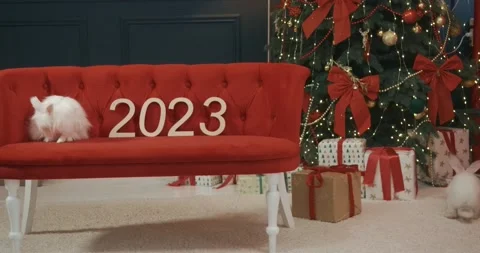 White Photoshoot Stock Videos – Royalty-Free HD & 4K Videos | Page 2