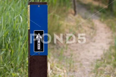Symbols Road Path Signs Warnings One Way Ahead Stock Photo #245311175