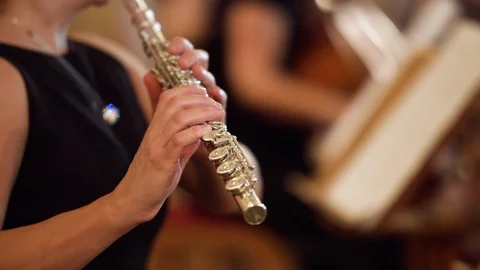 Playing Flute Stock Videos – Royalty-Free HD & 4K Videos | Pond5