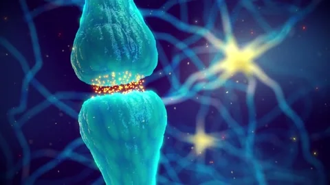 The synapse is the gap between two neuro... | Stock Video | Pond5