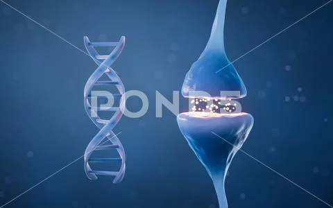 Synapse of neuron cell and DNA, 3d rendering. ~ Clip Art #238515895