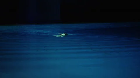 Girls Swimming Championship Stock Videos – Royalty-Free HD & 4K Videos ...