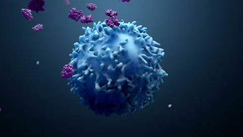 T-cell and antigens, animation | Stock Video | Pond5