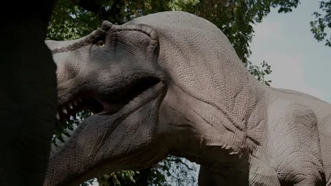 T-Rex Dinosaur Realistic Head and Teeth ... | Stock Video | Pond5