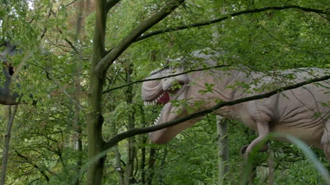 T REX Dinosaurs in forest Jurassic Park | Stock Video | Pond5