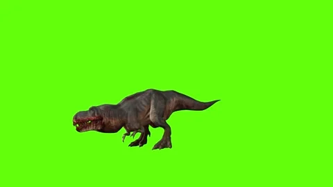 T-rex momma dinosaur idle sneeze green s... | Stock Video | Pond5