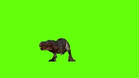 Dinosaur Green Screen Stock Video Footage | Royalty Free Dinosaur Green ...