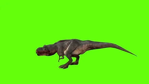 T-rex momma dinosaur look forward green ... | Stock Video | Pond5