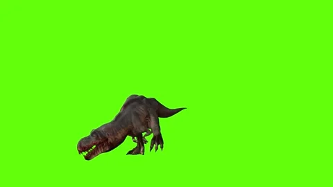Dinosaurs Bite Animation Stock Videos – Royalty-Free HD & 4K Videos | Pond5