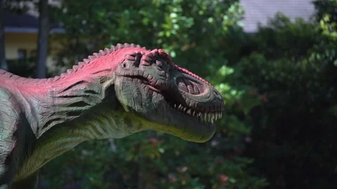 T Rex Tyrannosaurus dinosaur moving in a... | Stock Video | Pond5