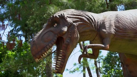 T Rex Tyrannosaurus dinosaur moving in a... | Stock Video | Pond5