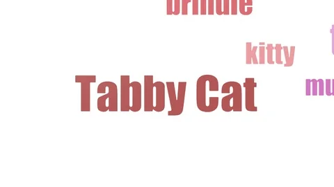 Tabby Cat Tag Cloud Animated Isolated On... | Stock Video | Pond5