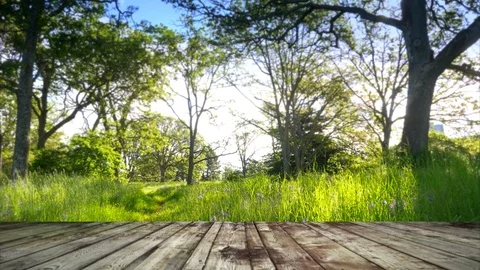 Table Wooden Surface, Green Garden Natur... | Stock Video | Pond5