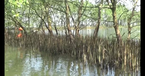 Girls Fishing Trip Stock Videos – Royalty-Free HD & 4K Videos | Page 8