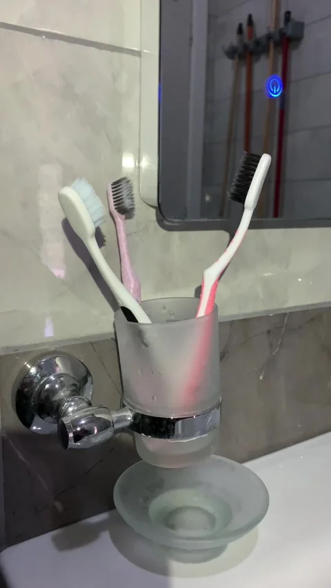 Daily Take Out Stock Videos – Royalty-Free HD & 4K Videos