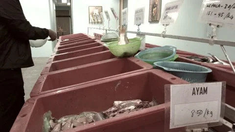 Noise Shope Stock Videos – Royalty-Free HD & 4K Videos | Pond5