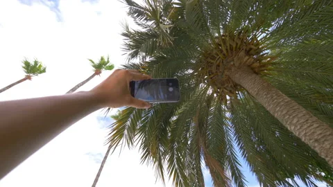 Palm Hand Picture Stock Videos – Royalty-Free HD & 4K Videos