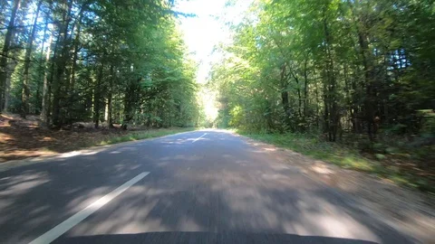 Tall Trees Car View Driving Forward 4K R... | Stock Video | Pond5