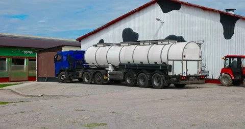 Milk Cows Farm Milkmaid Farm Stock Video Footage | Royalty Free Milk ...